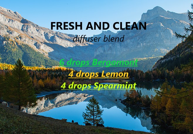 Whats in my diffuser today? – The Natural Dish